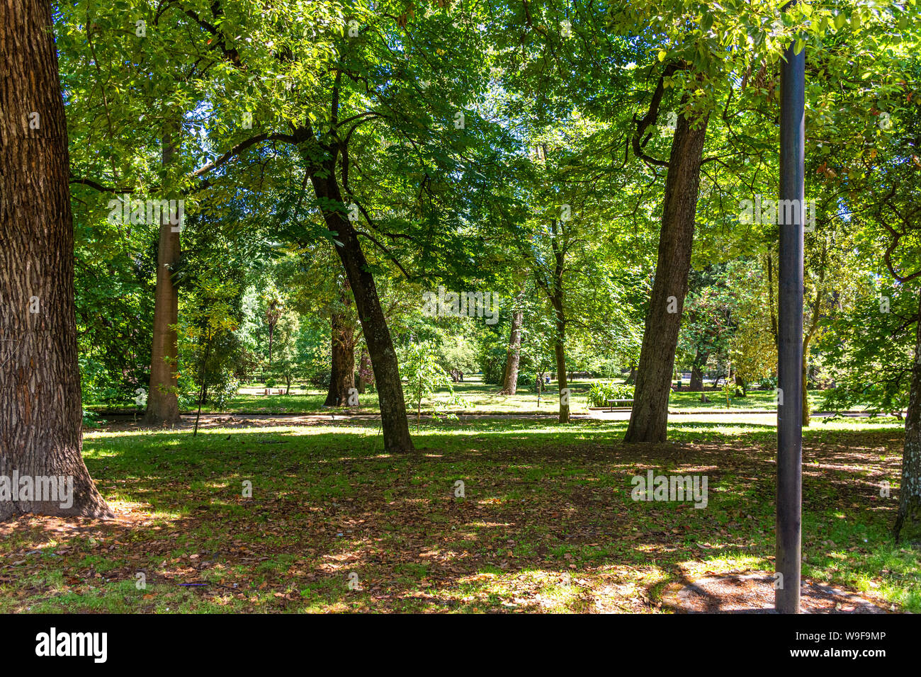 Italy, Naples, botanical garden, floral landscape with trees and plants ...