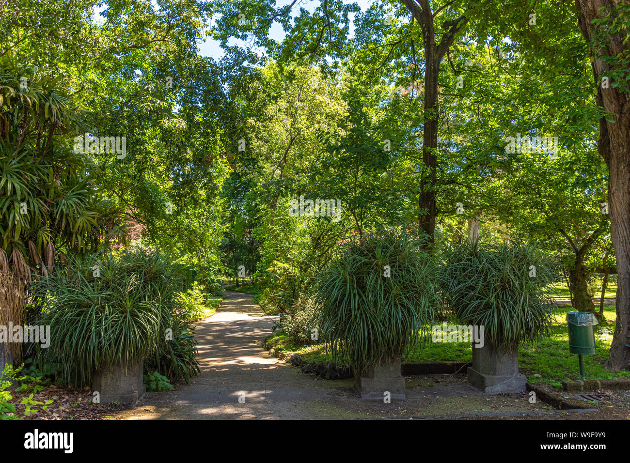 Italy, Naples, botanical garden, floral landscape with trees and plants ...