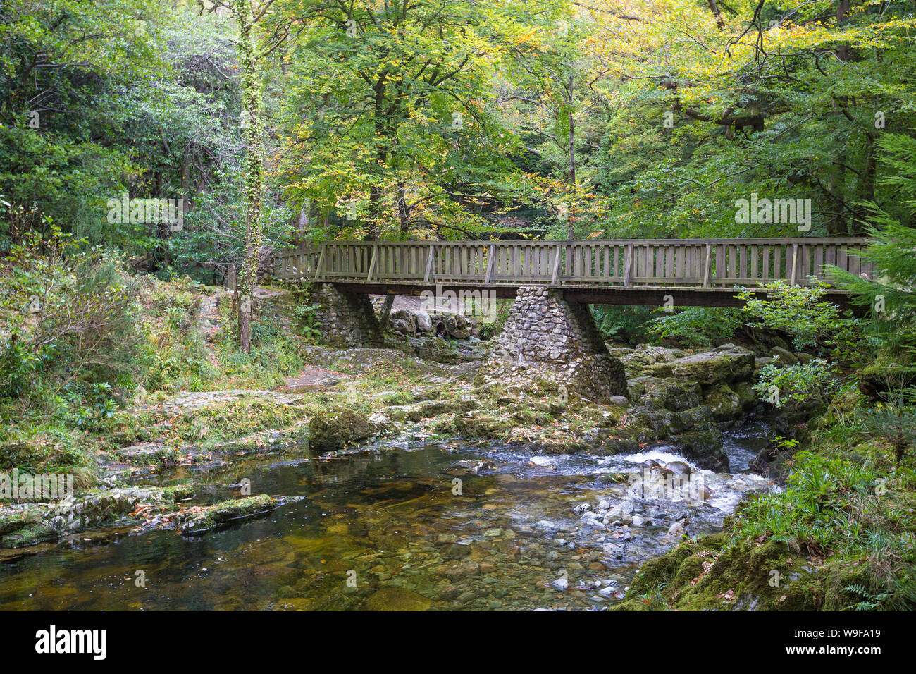 Tollymore Forest Park, Newcastle, Co Down, Northern Ireland Stock Photo ...