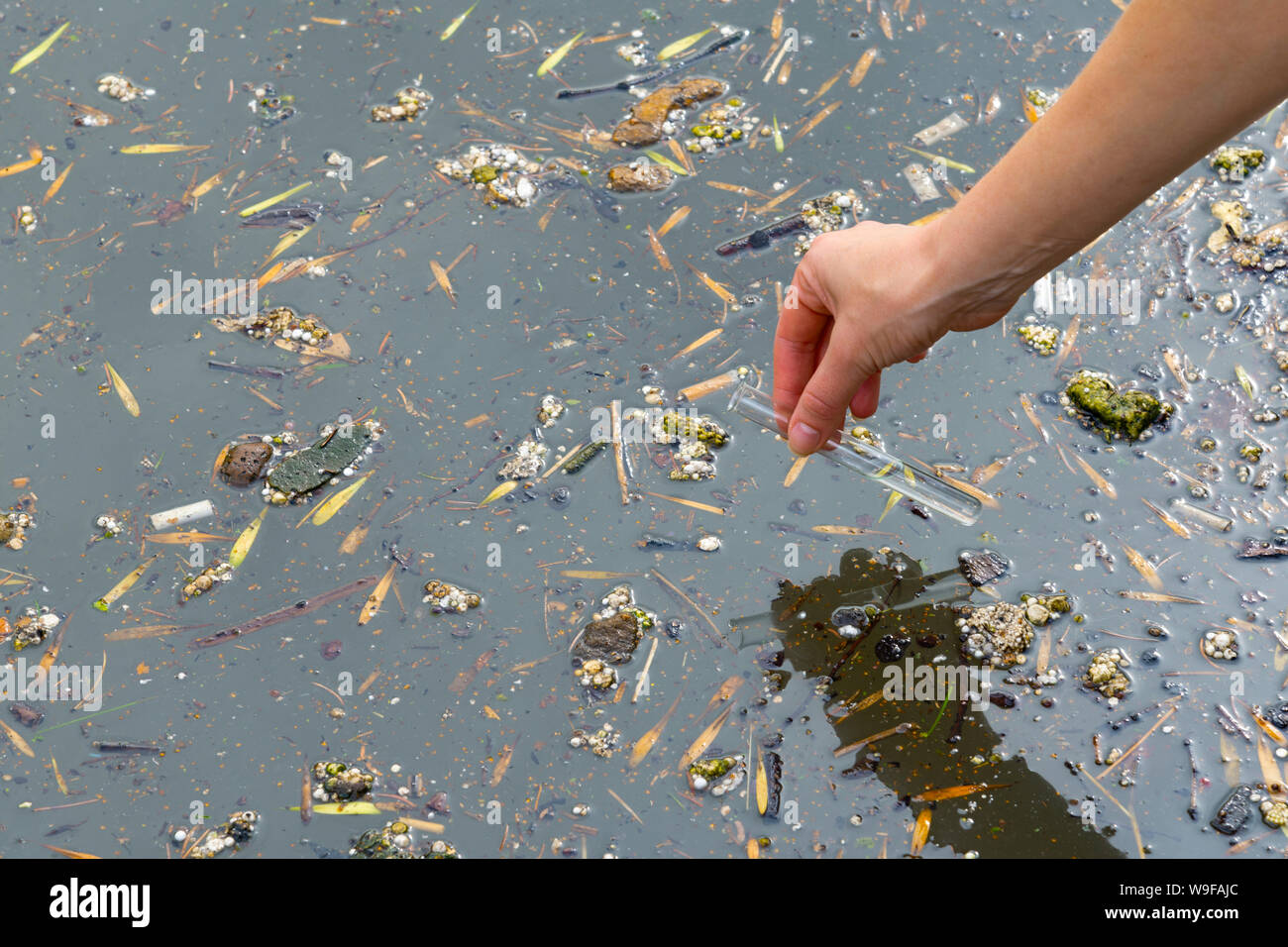 Checking the quality of water in wastewater. Test tube with a sample in ...