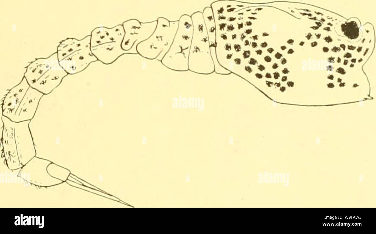 26 7 mm hi-res stock photography and images - Alamy