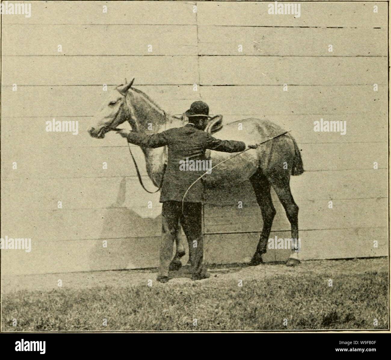 Colt m hi-res stock photography and images - Alamy