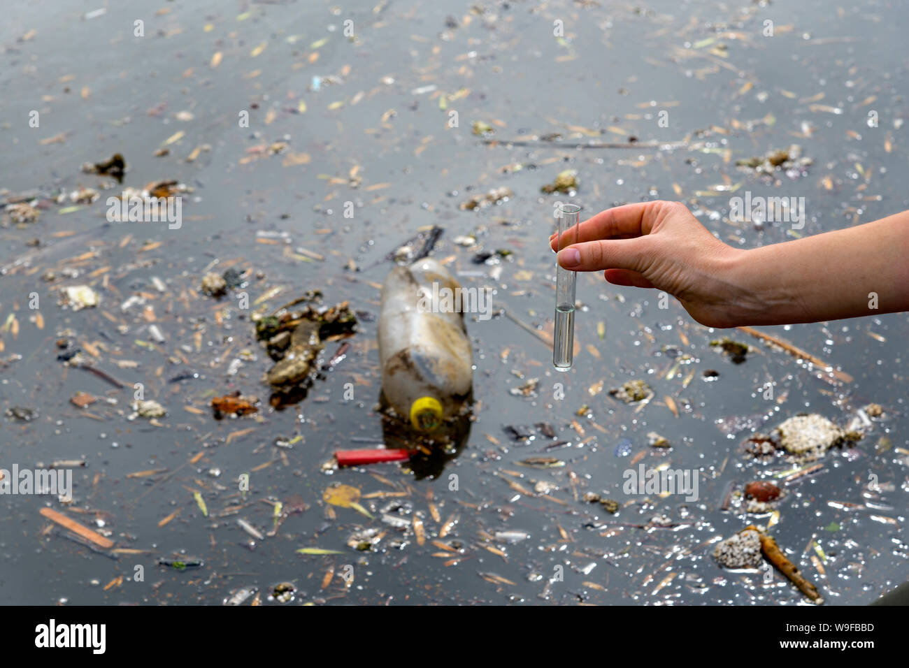 Checking the quality of water in wastewater. Test tube with a sample in ...