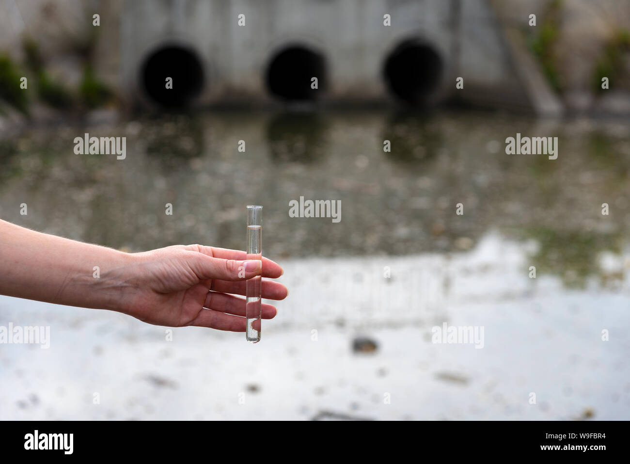 Checking the quality of water in wastewater. Test tube with a sample in ...