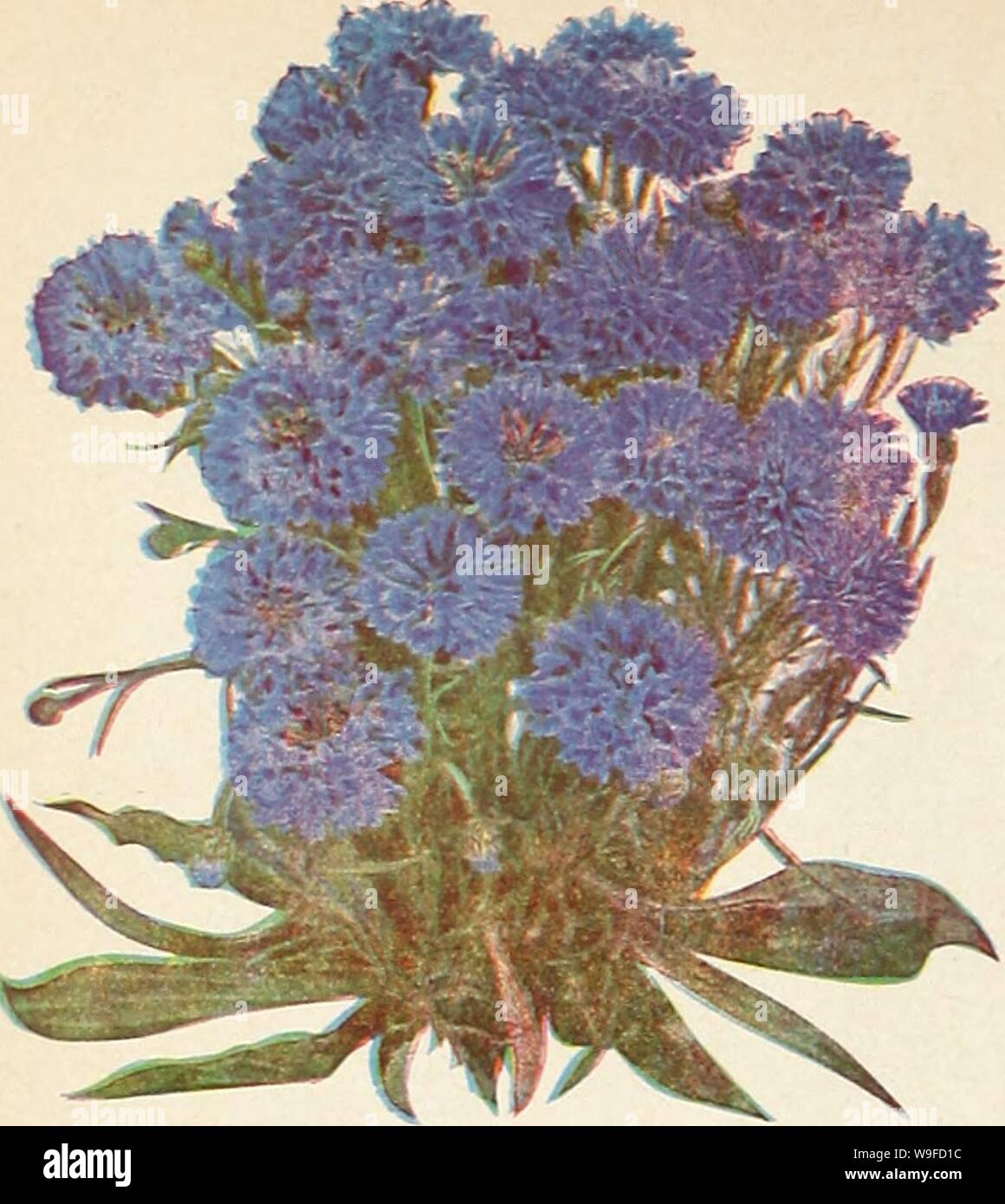 Fluted stems hi-res stock photography and images - Alamy