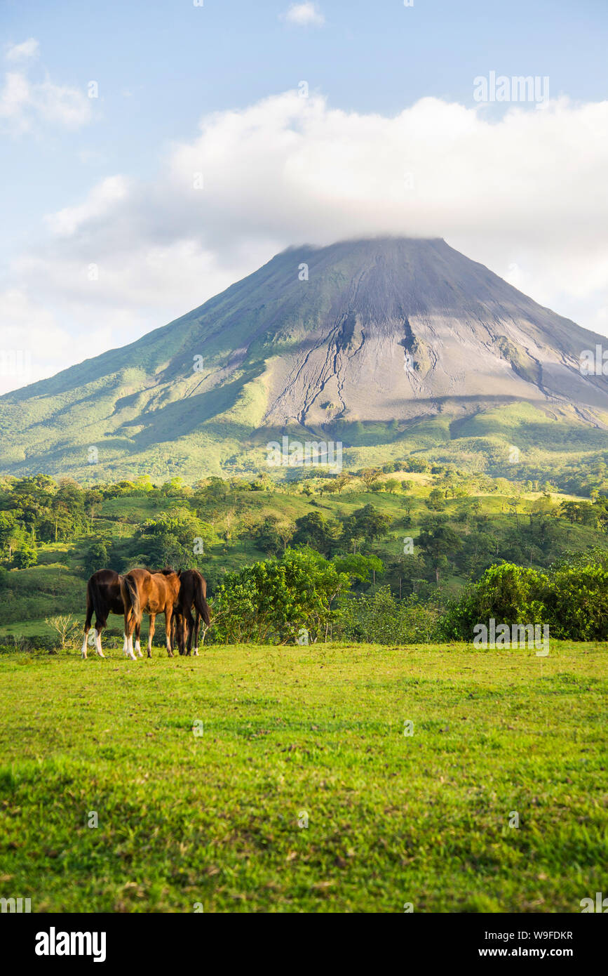El Arenal Vulcano, Costa Rica. Vertical landscape Stock Photo - Alamy