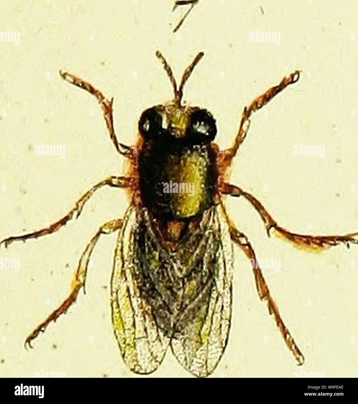 Explicata hi-res stock photography and images - Alamy