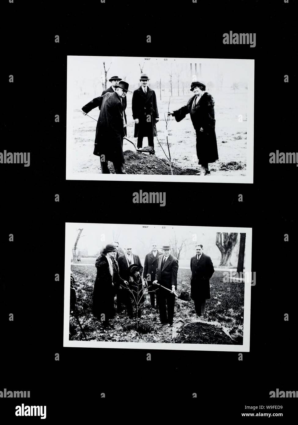 Curios and relics hi-res stock photography and images - Alamy