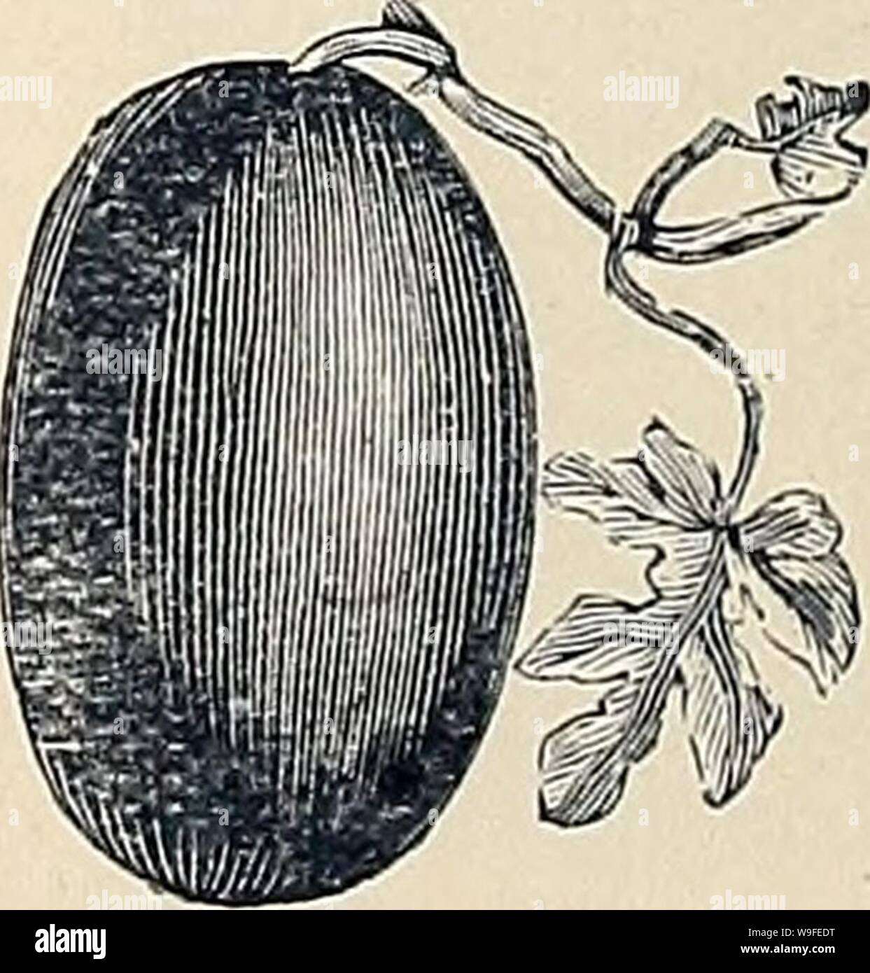 Scaly soil hi-res stock photography and images - Alamy