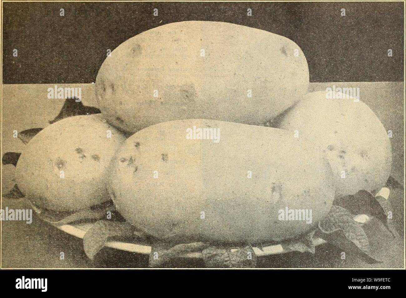 Potato bug book hi-res stock photography and images - Alamy