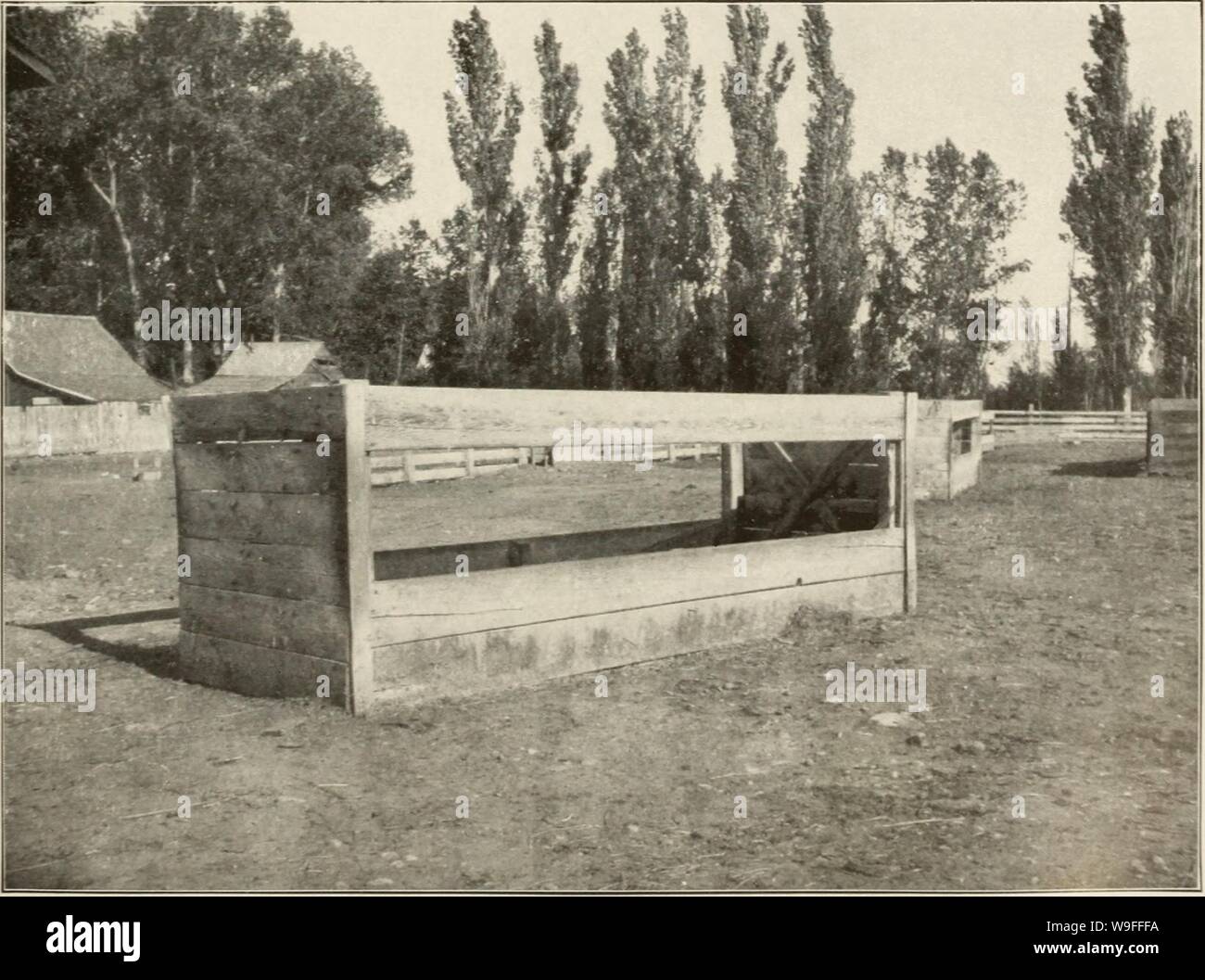 Archive image from page 38 of Cultivated forage crops of the ...