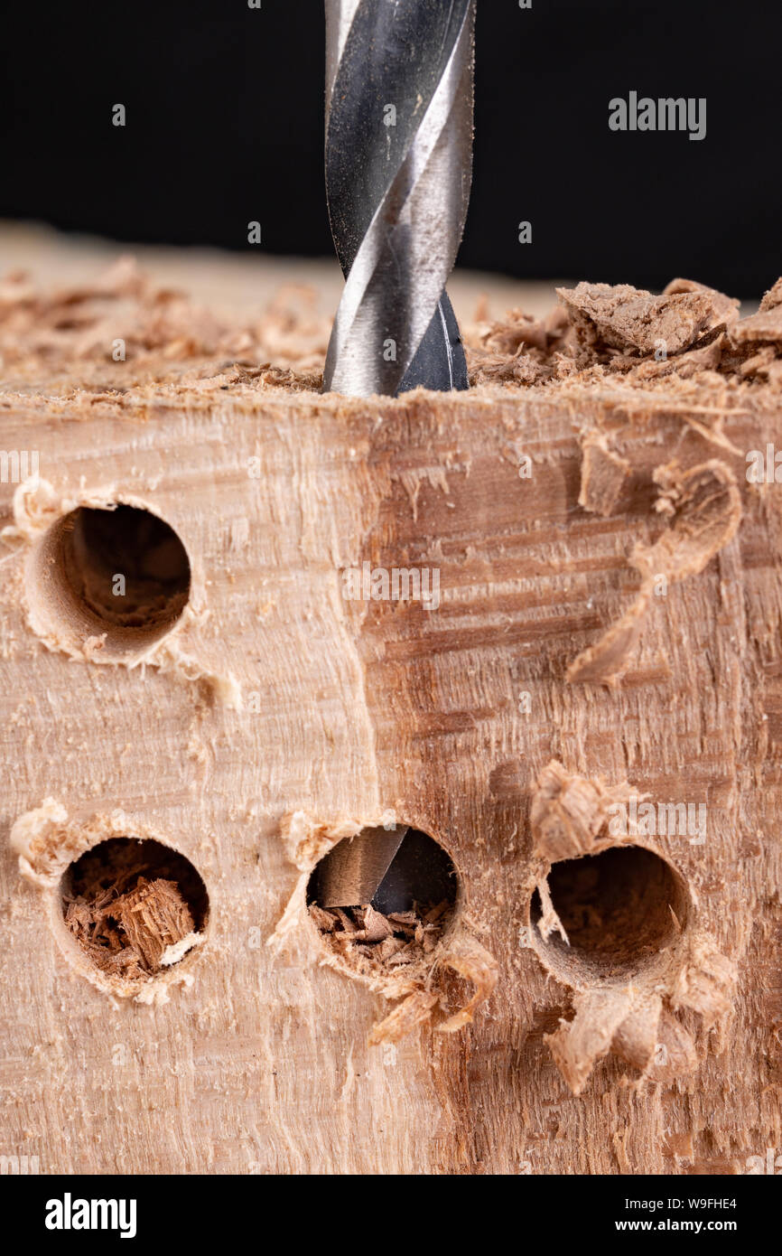Drilling holes in raw wood. Carpentry drill in a carpentry workshop ...