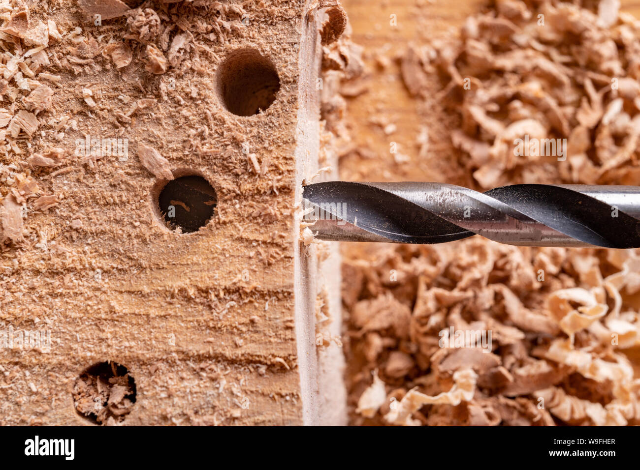 Drilling holes in raw wood. Carpentry drill in a carpentry workshop ...