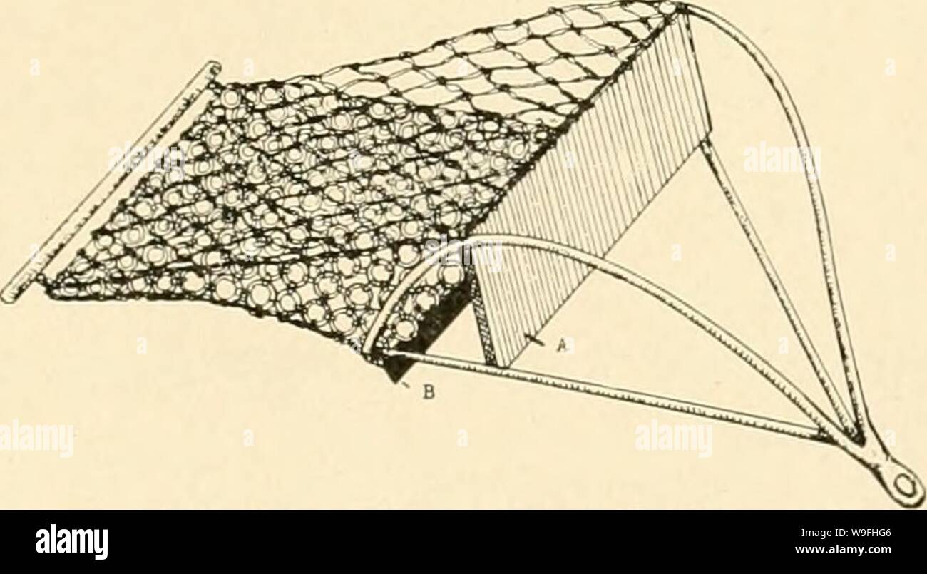 Archive image from page 44 of Culture methods for invertebrate animals ...