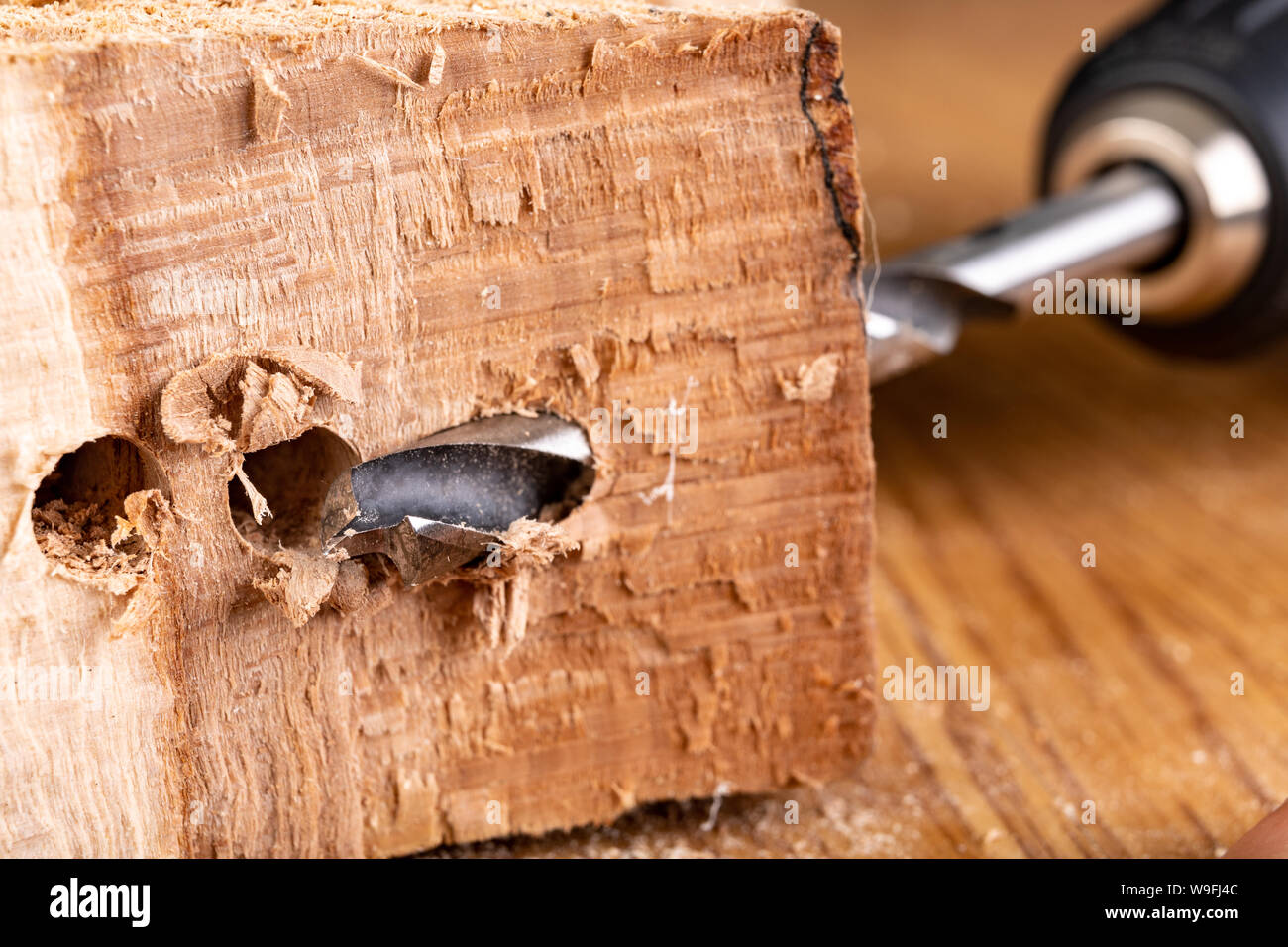Drilling holes in raw wood. Carpentry drill in a carpentry workshop ...