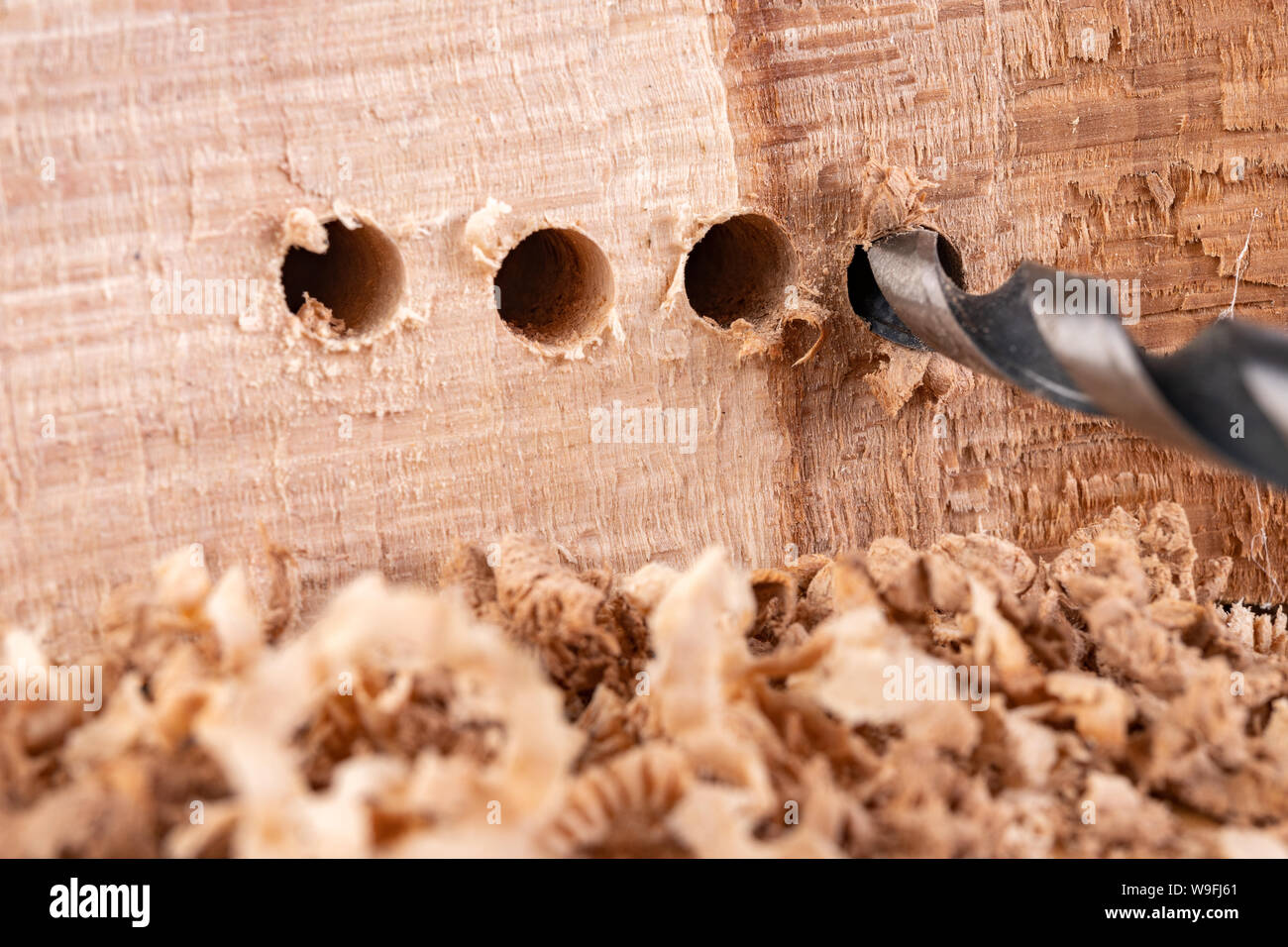 Drilling holes in raw wood. Carpentry drill in a carpentry workshop ...