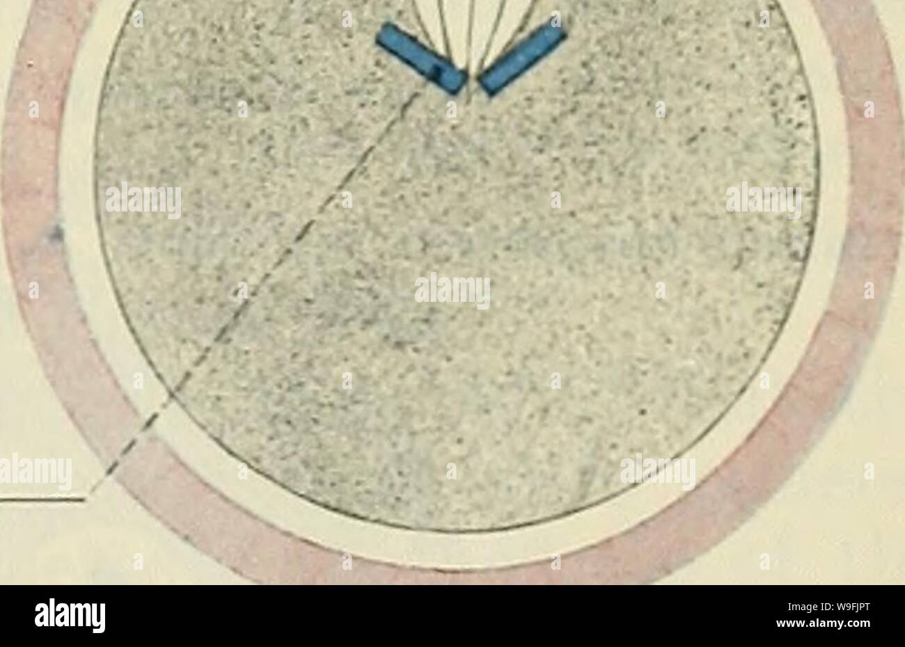 Archive image from page 48 of Cunningham's Text-book of anatomy (1914 ...