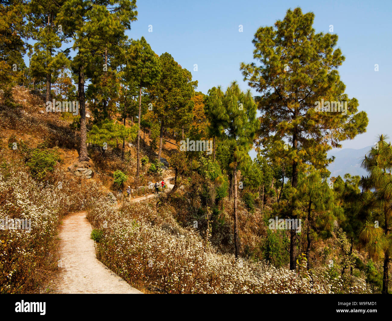 Kumaon hills road hi-res stock photography and images - Alamy