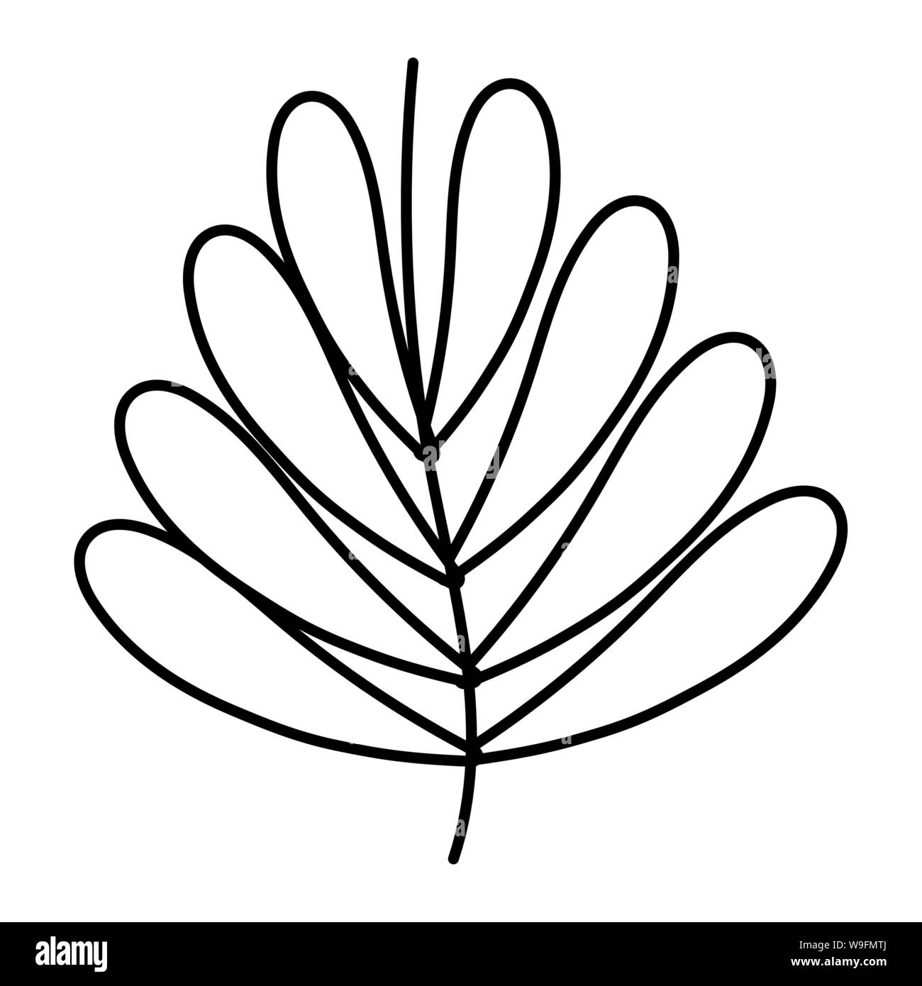 Leaves design, Plant floral garden nature decoration ornament and ...