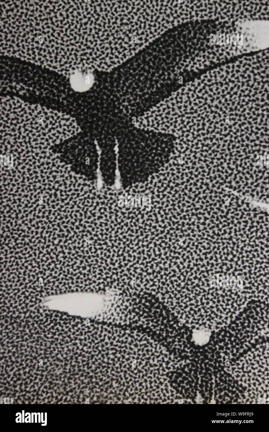 Fine black and white high contrast art photography from the 1970s of ...