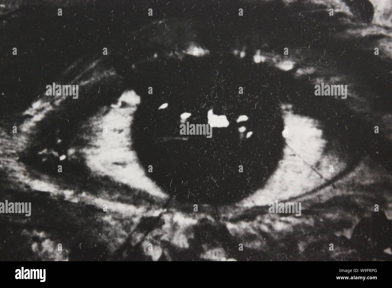 Fine black and white art photography from the 1970s of one eye watching ...