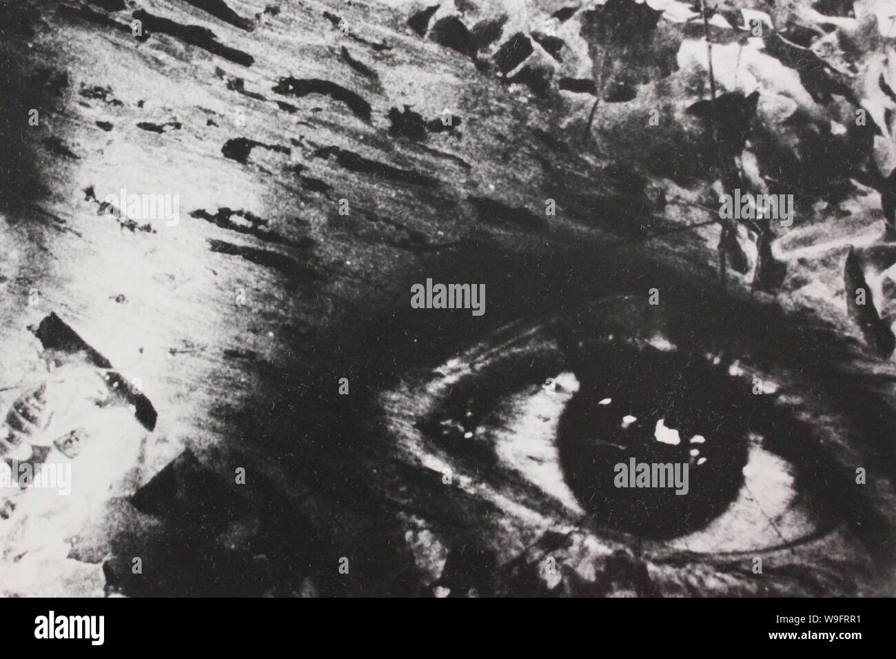 Fine black and white art photography from the 1970s of one eye watching ...