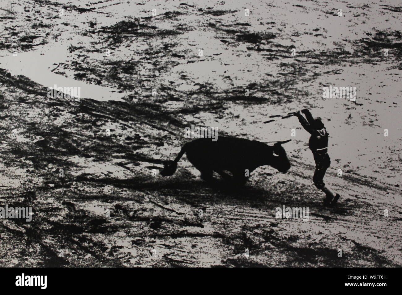 Fine black and white art photography from the 1970s of a bull fighter ...