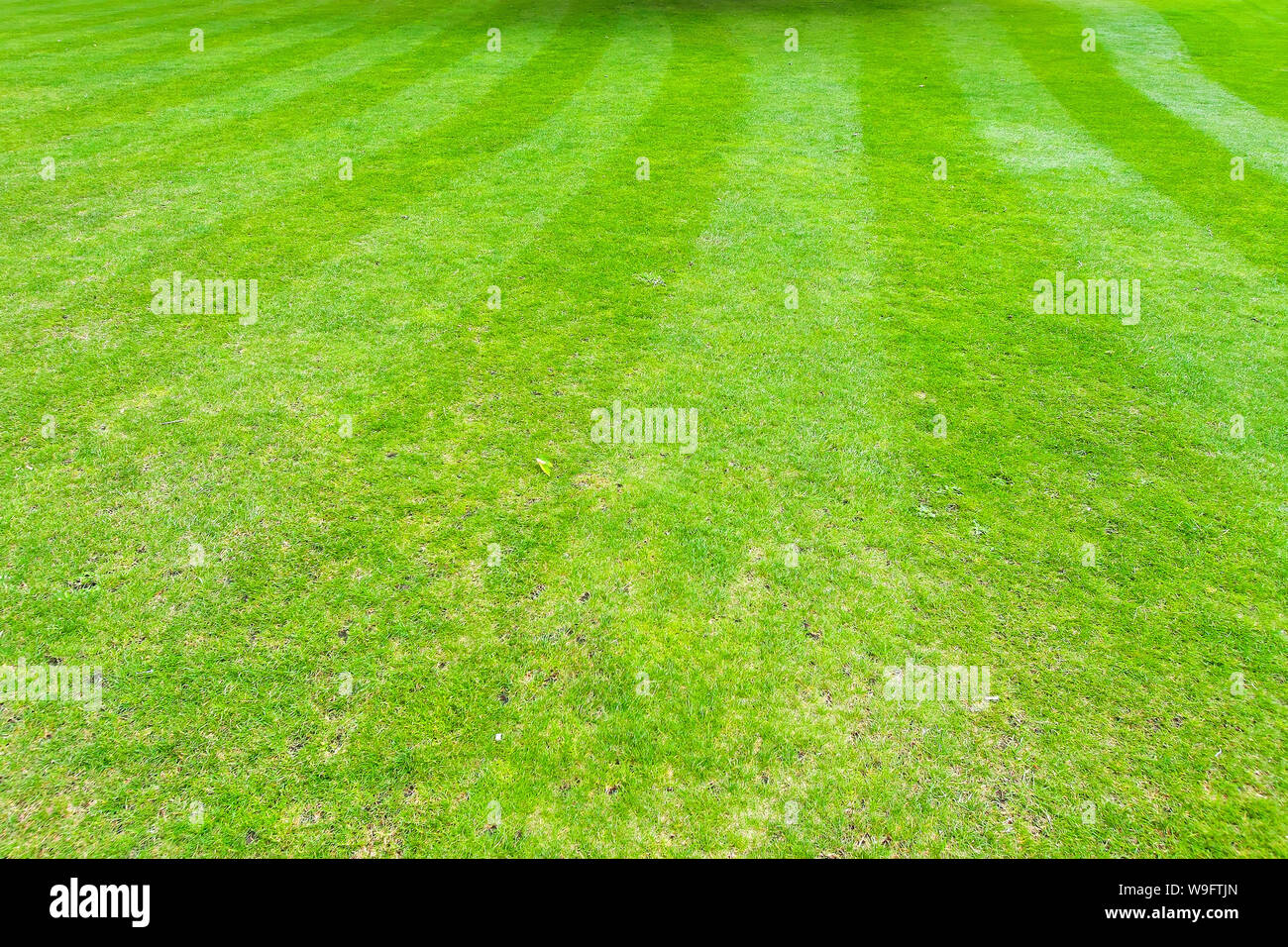 Beautiful green grass field with lines marks Stock Photo - Alamy