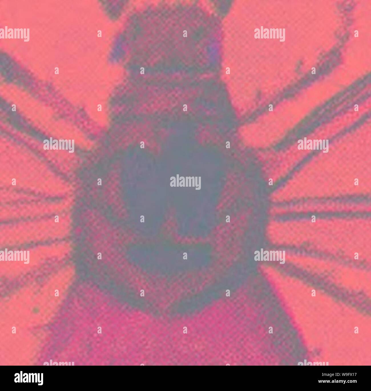 Practical phases hi-res stock photography and images - Alamy