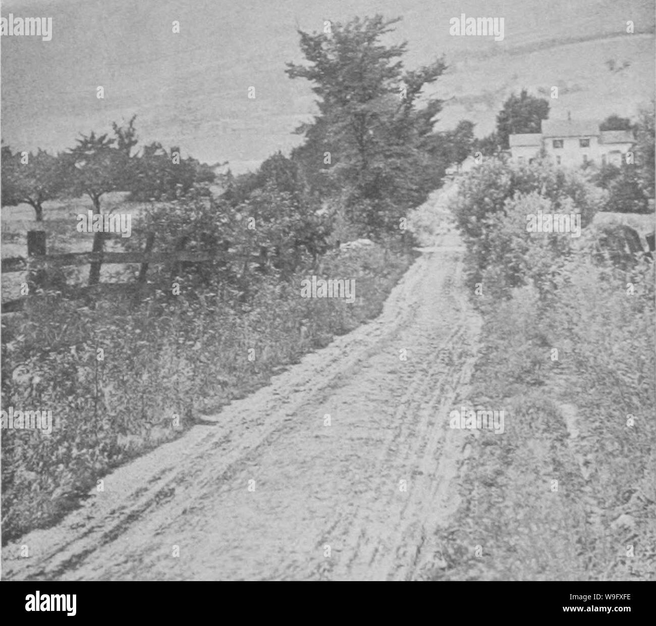 Studies in nature Black and White Stock Photos & Images - Alamy