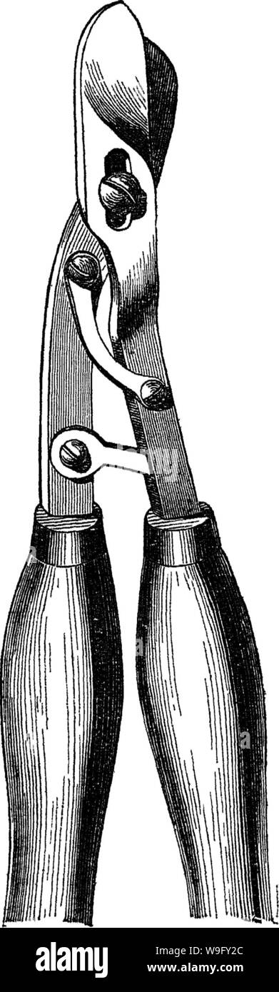 Culture pear Black and White Stock Photos & Images - Alamy