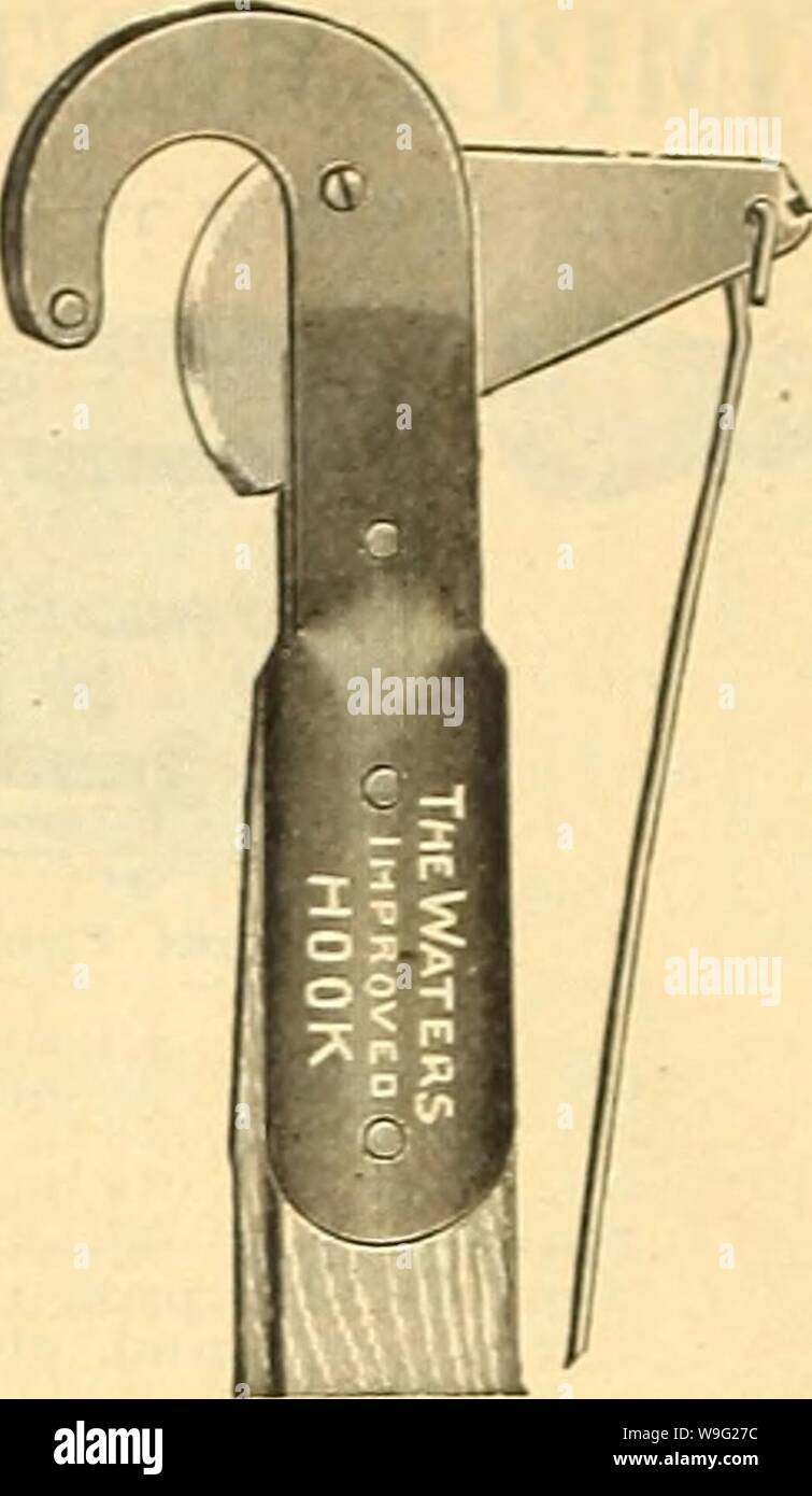 Extra limb illustration hi-res stock photography and images - Alamy