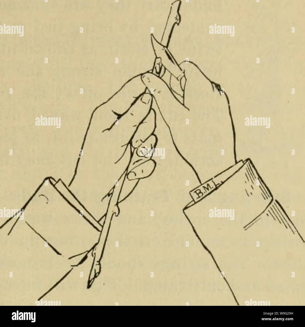 T budding hi-res stock photography and images - Alamy