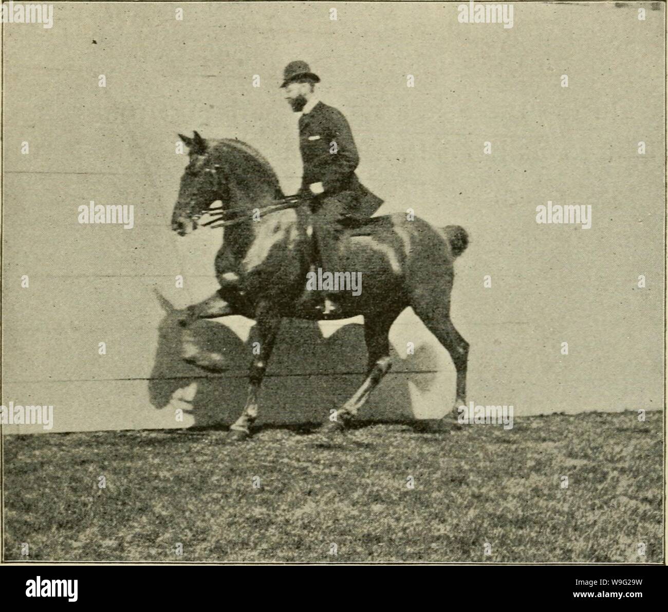 Snaffle rein hi-res stock photography and images - Alamy