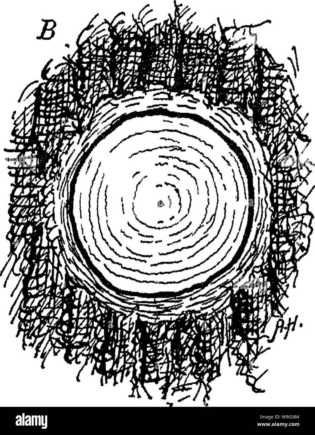 In page from image Black and White Stock Photos & Images - Alamy