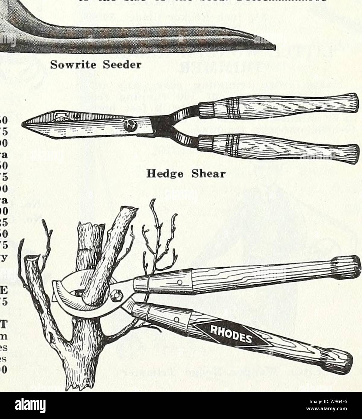 Extra limb illustration hi-res stock photography and images - Alamy