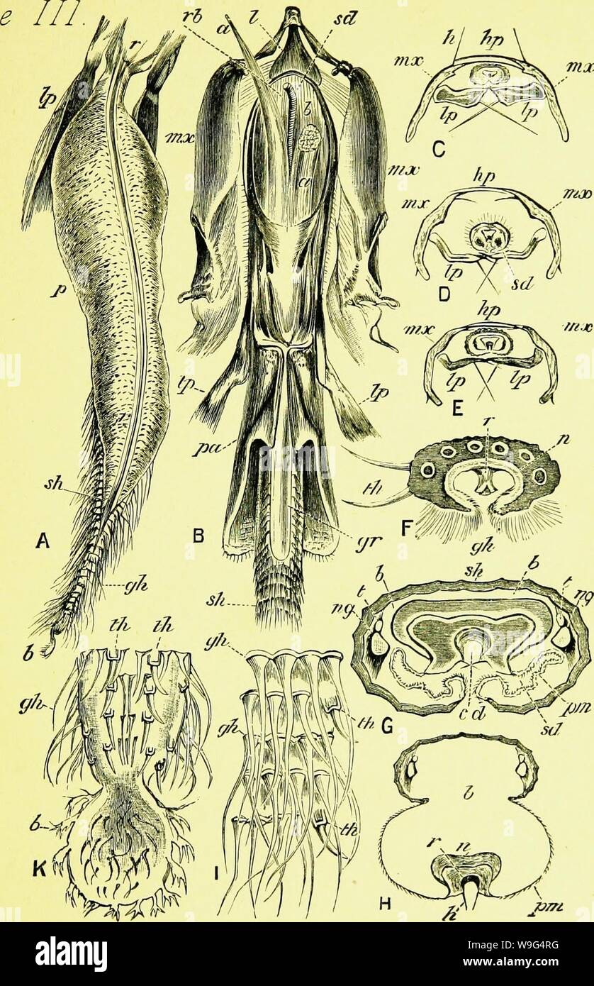 Bee hive structures hi-res stock photography and images - Alamy