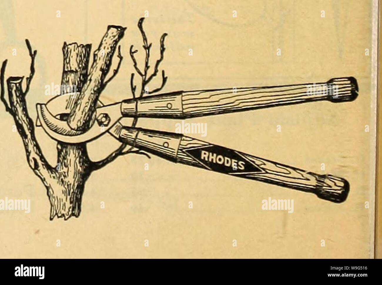 Extra limb illustration hi-res stock photography and images - Alamy