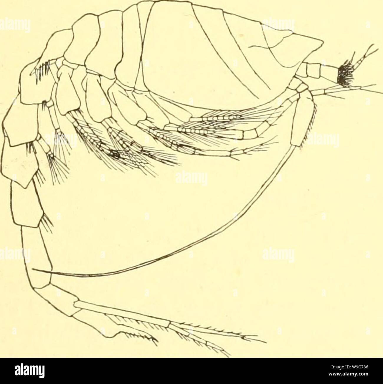 From l r m thomas hi-res stock photography and images - Alamy