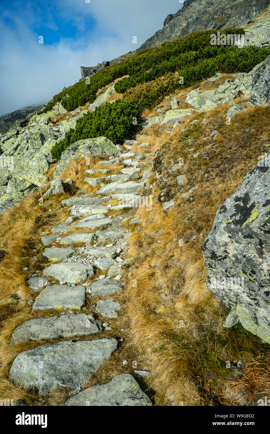 Stone steps, wild trail. Stone path in the mountains Stock Photo - Alamy