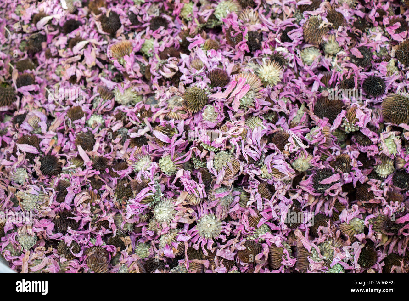 Dry herbal plants at the market Stock Photo - Alamy