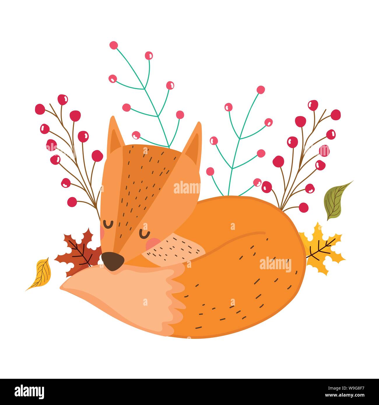 Fox cartoon design, Animal cute zoo life nature and fauna theme Vector ...