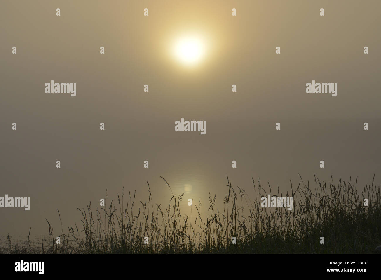Faint sun hi-res stock photography and images - Alamy