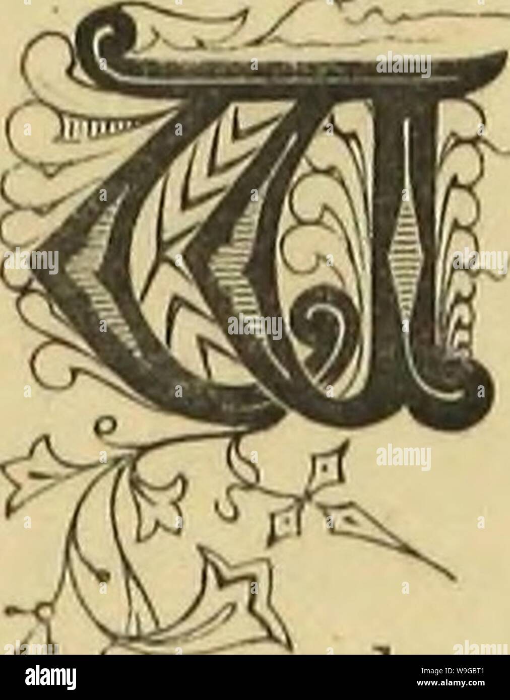 Vivarium insect hi-res stock photography and images - Alamy