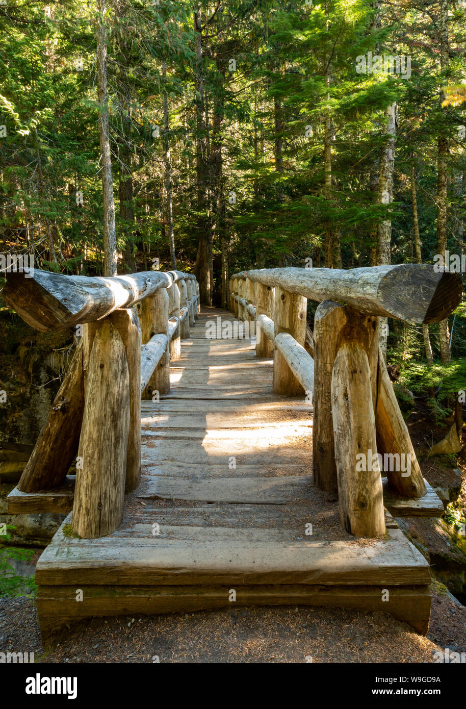 Thick Log Bridge Over Gorge Above Christine Falls Stock Photo - Alamy