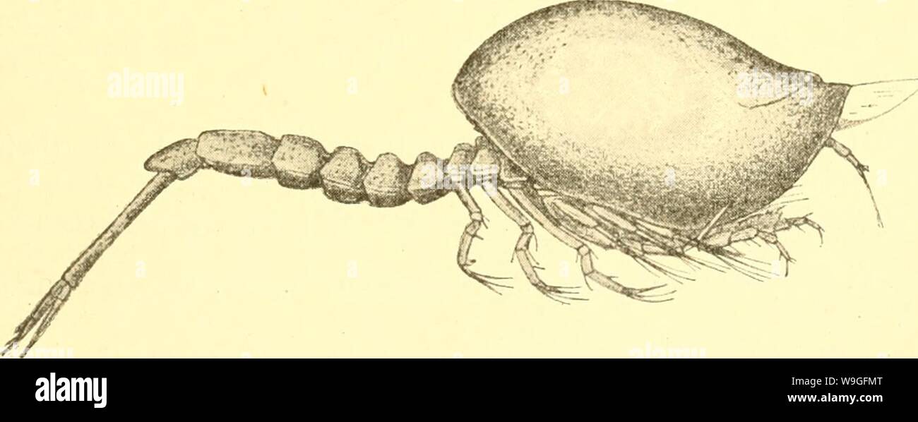 Berlin hist hi-res stock photography and images - Alamy