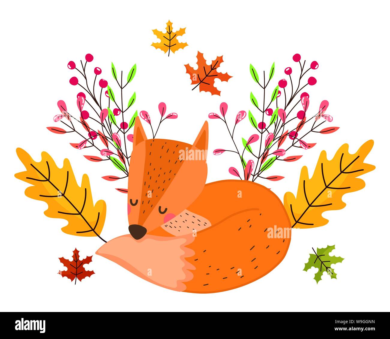 Fox cartoon design, Animal cute zoo life nature and fauna theme Vector ...