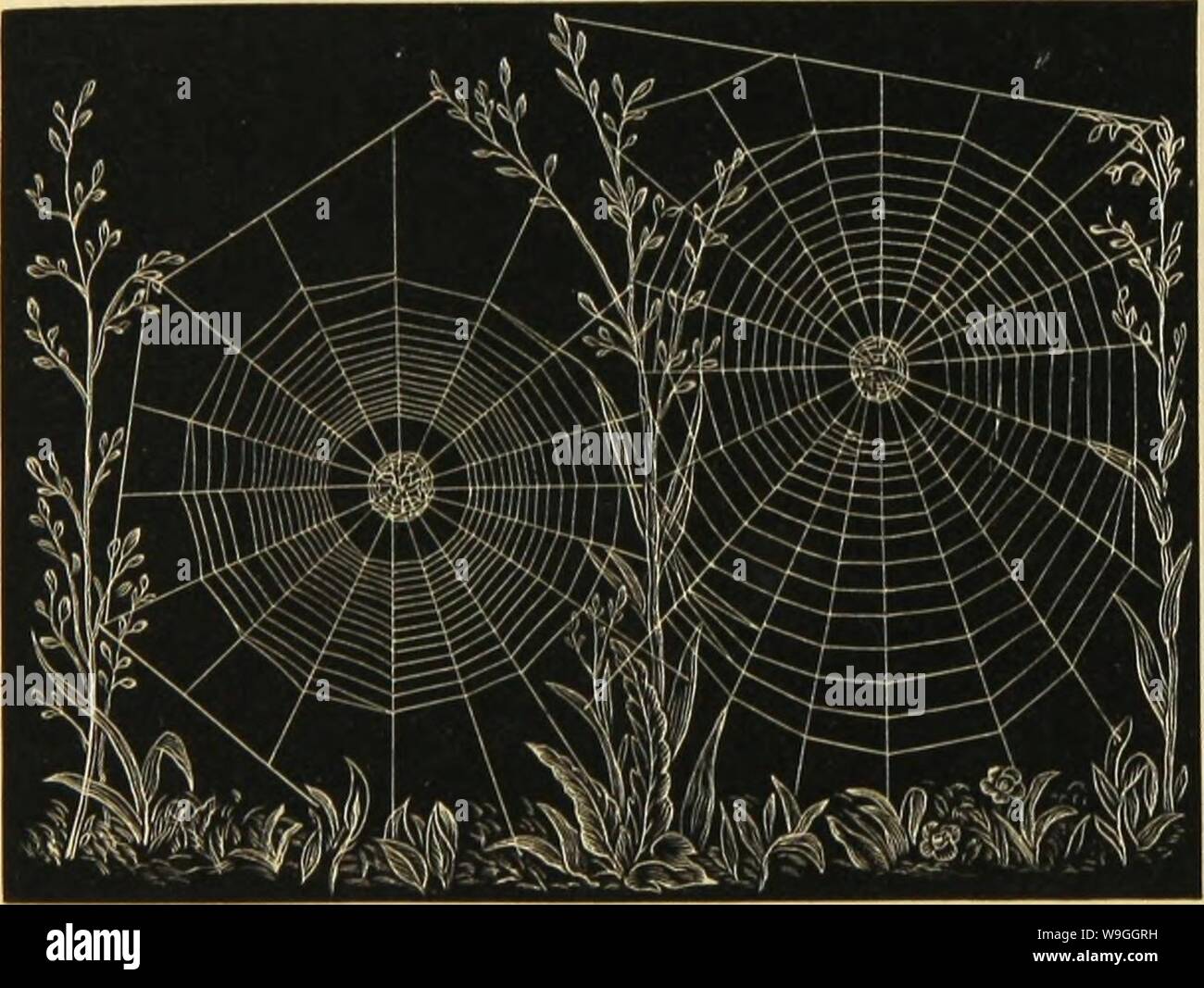 Carry off wind hi-res stock photography and images - Alamy