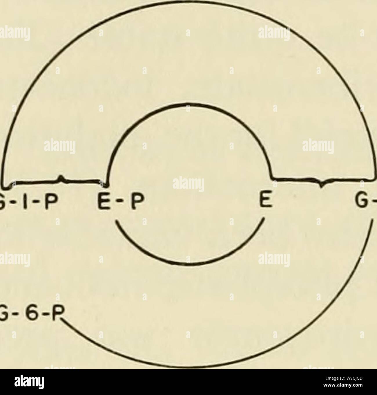 Catalysis hi-res stock photography and images - Alamy