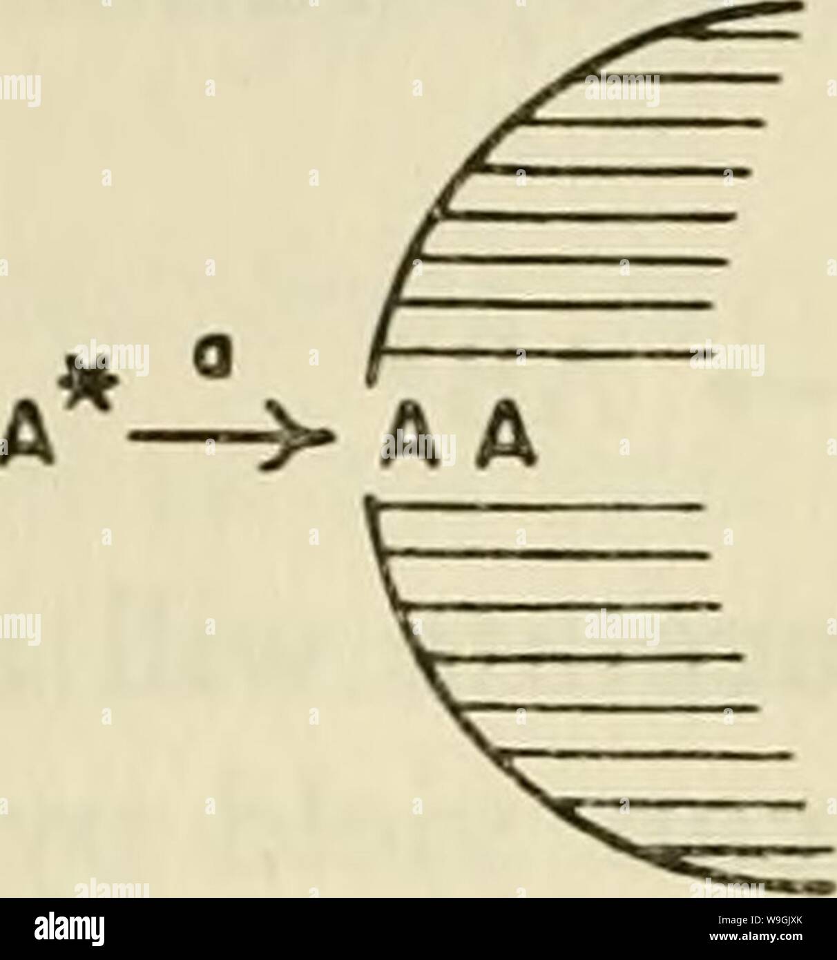 Archive image from page 257 of Currents in biochemical research, 1956 ...